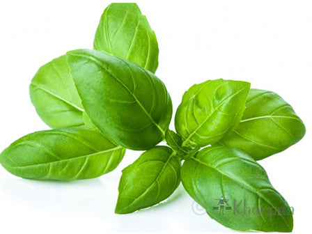 Basil-25g /bunch – kharpan