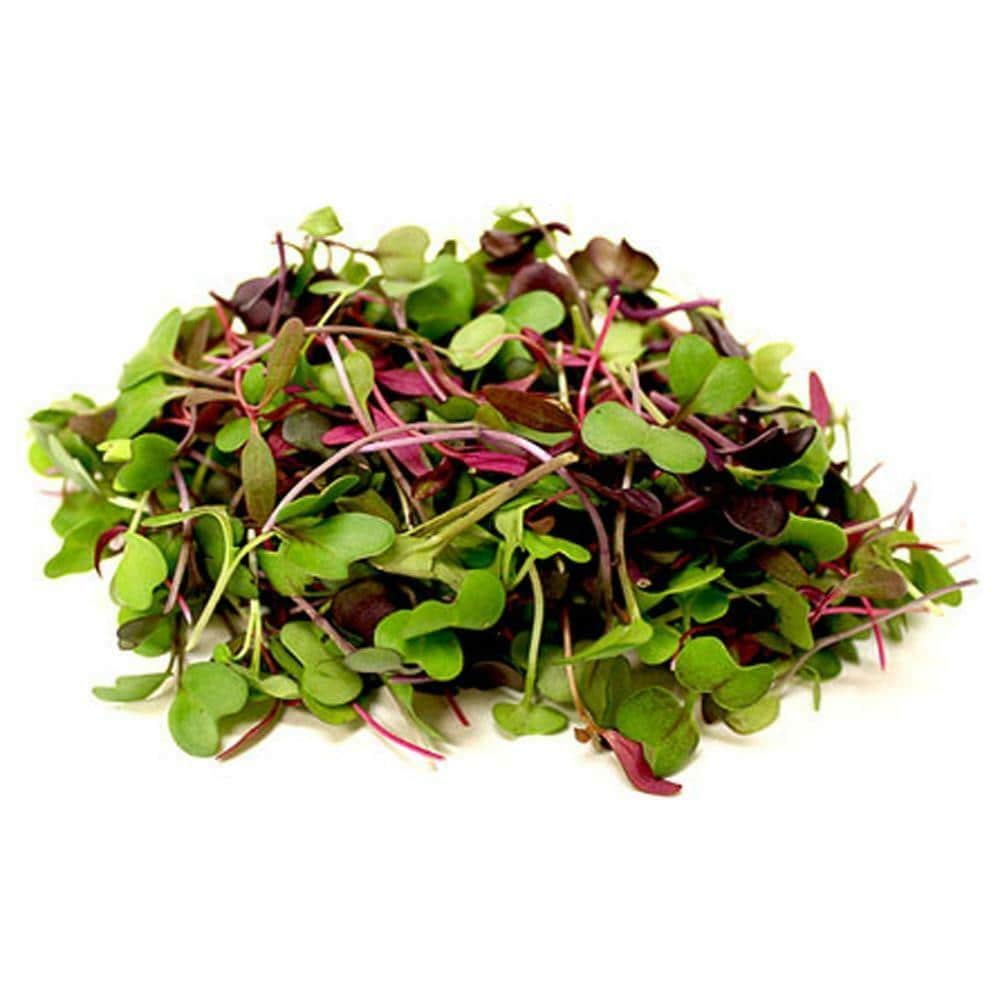 Microgreens-100gm – kharpan